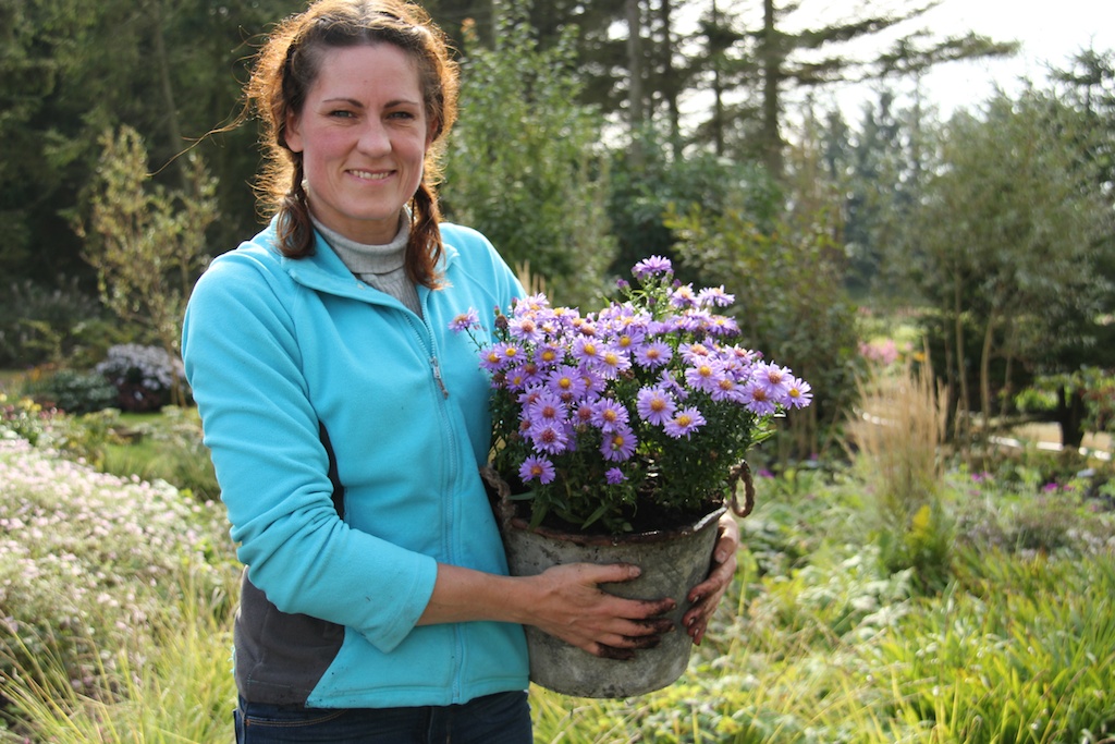 Anna tipsar - Plantera perenner i kruka - perenner.se