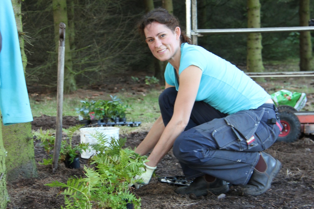 Anna tipsar perenner med stort vintervärde - perenner.se